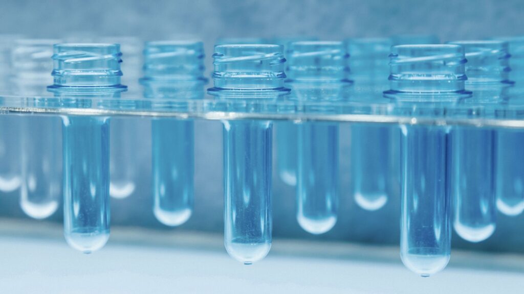 Para quê serve a pré-forma PET?